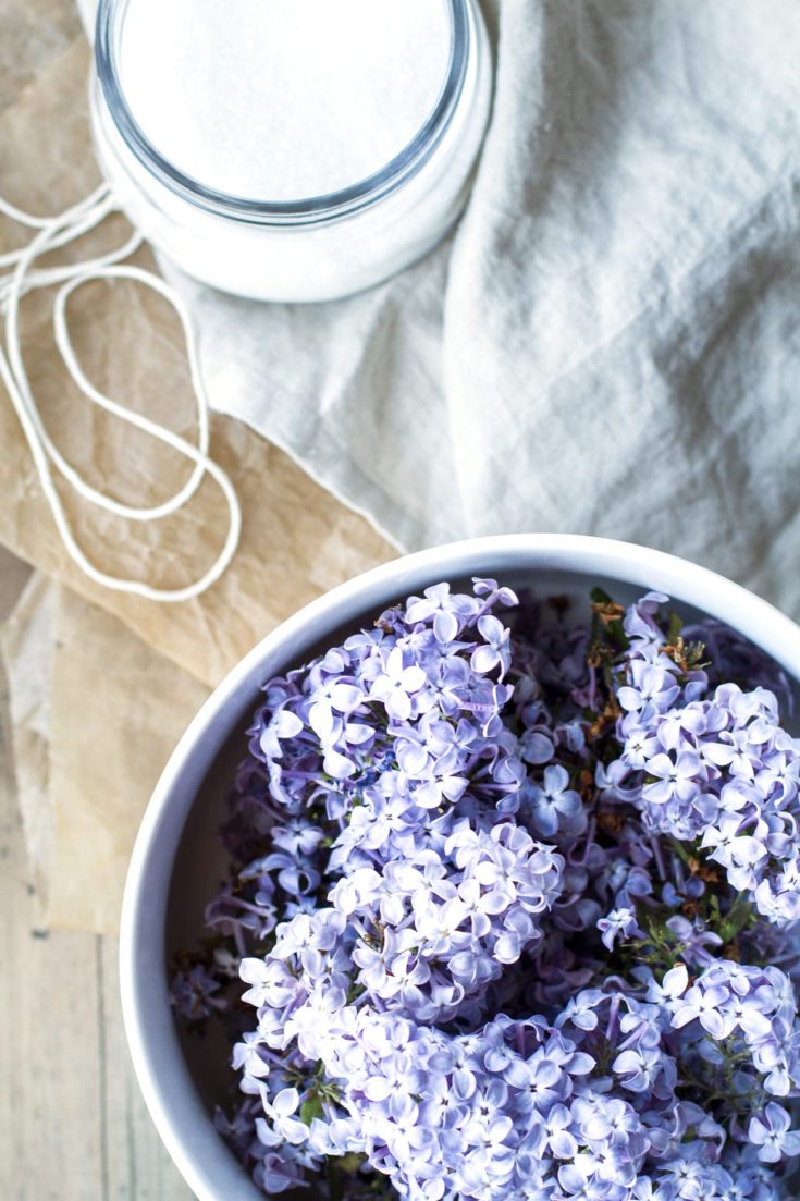 Lilac Lemon Cupcakes + Recipe for Lilac Sugar and Lilac Syrup - Ginger ...