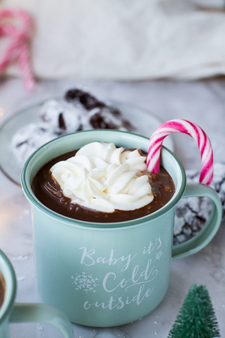 Cozy Peppermint Mocha (Better than Starbucks) - Ginger with Spice